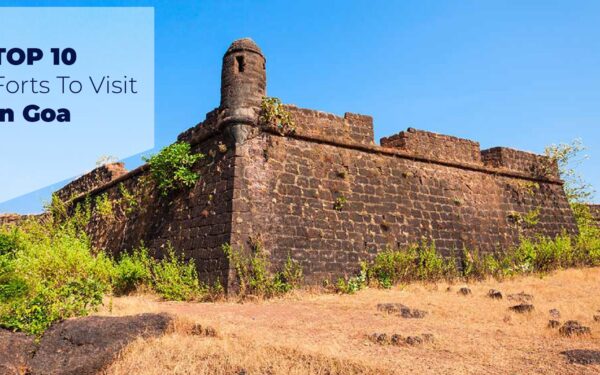 Property Hub Goa – Leading Real Estate Marketing Consulting Agency in Goa