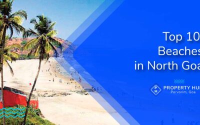 Property Hub Goa – Leading Real Estate Marketing Consulting Agency in Goa